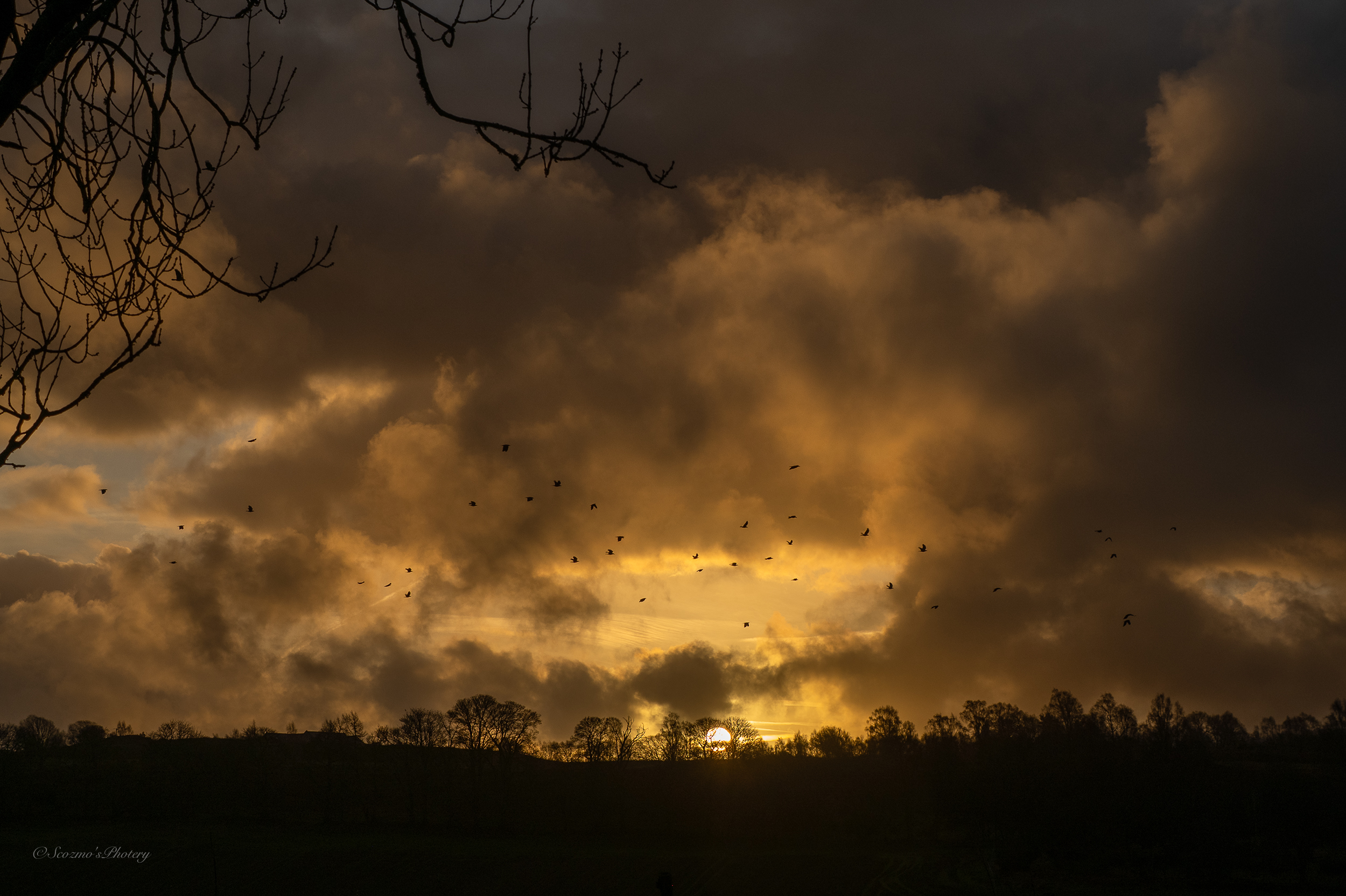 Ring Solstice dreich? – Scozmo's Photery