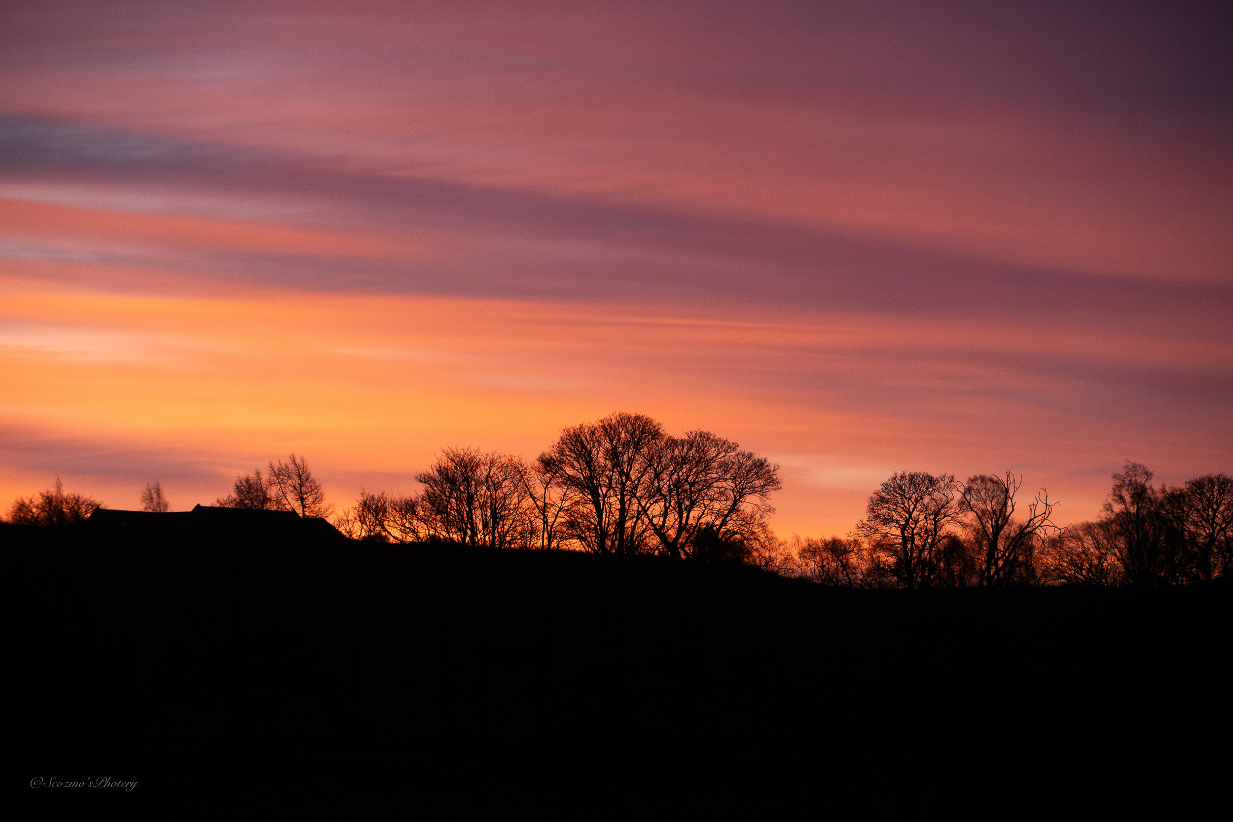 A new dawn, a new day, a new year – Scozmo's Photery